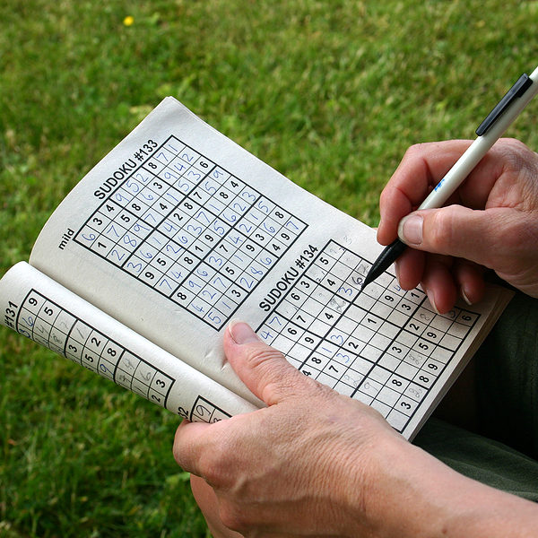 Bachelor’s Level Sudoku Solving System – Sudoku Professor